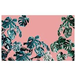Vliestapete Komar "Digitaldruck Vlies - Monstera Ros&eacute; - Gr&ouml;&szlig;e 400 x 250 cm", rosa, B:400m L:250m, Vlies, Tapeten, Wohnzimmer, Schlafzimmer