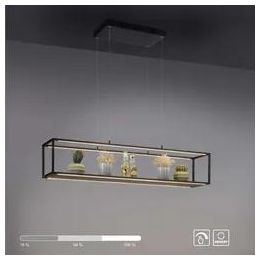 OTTO HOME LED Pendelleuchte "Civva H&auml;ngeleuchte inkl. Abstellfl&auml;che z.B. f&uuml;r Deko, Blumen, Gew&uuml;rze", schwarz, 4, H: 120cm, 1 Stk., Leuchten, warmwei&szlig;es Licht, 3000 K, 3-Stufen-Touchdimmer, Pendellampe, LED Pendelleuchte