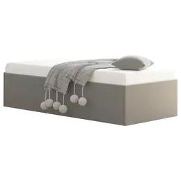Polsterbett "Amrum", grau, B:145cm L:205cm, Bezug Glanzvelours, 100% Polyester, Polsterung 100% Polyester, Gestell Holzwerkstoff, Westfalia Schlafkomfort, Betten, Polsterbett, in Samtvelours ohne Kopfteil, mit und ohne Bettkasten erh&auml;ltlich