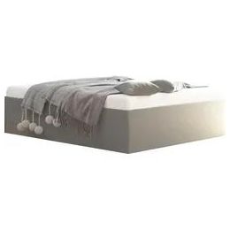 Polsterbett "Amrum", grau, B:165cm L:205cm, Bezug Glanzvelours, 100% Polyester, Polsterung 100% Polyester, Gestell Holzwerkstoff, Westfalia Schlafkomfort, Betten, Polsterbett, in Samtvelours ohne Kopfteil, mit und ohne Bettkasten erh&auml;ltlich