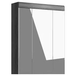 Badezimmerspiegelschrank Welltime "SIENA, Breite 60cm, 3 Spiegelt&uuml;ren, 9 F&auml;cher, 6 Einlegeb&ouml;den", grau (rauchsilber nb, spiegelglas), B:60cm H:79cm T:18cm, FSC-zertifizierter Holzwerkstoff, Glas, Schr&auml;nke, in verschiedenen Farben erh&auml;ltlich, Badm&ouml;bel, Spiegel, Badschrank, Bad