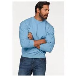 Sweatshirt Fruit of the Loom, Herren, Gr. L (52/54), blau (hellblau), angeraute Sweatware, Obermaterial: 80% Baumwolle, 20% Polyester, unifarben, schmal h&uuml;ftlang, Rundhals, Rippb&uuml;ndchen, Sweatshirts Sweatshirt, im unifarbenen Design
