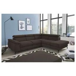Ecksofa COTTA "Kitty L-Form, B: 249 cm", braun (espresso), B:249cm H:72cm T:207cm, Microfaser (100% Polyester);Flachgewebe (100% Polyester), Sofas, Ecksofa, mit Kopfteilverstellung, optional Bettfunktion & Bettkasten