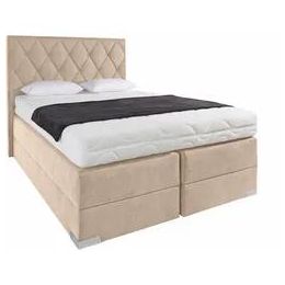 Boxspringbett, beige (dunkelbeige), B:170cm L:212cm, Bezug der Obermatratze: 100% Polyester, Bezug abnehm- und waschbar bis 60C;Unterbox und Kopfteil: Microvelours-Bezug (100% Polyester), Westfalia Schlafkomfort, Komplettbetten, Boxspringbett