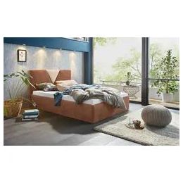 Polsterbett "Malibu", braun (braun, beige), B:212cm L:212cm, Bezug Bett: Microfaser (100% Polyester);Bonnell-Federkernmatratze: 51% Polypropylen, 39% Polyester und 10% Baumwolle;Kaltschaummatratze: 100% Polyester, Bezug abnehm- und waschbar bis 60C, Westfalia Schlafkomfort, Betten, Polsterbett, inkl. Bettkasten bei Ausf&uuml;hrung mit Matratze