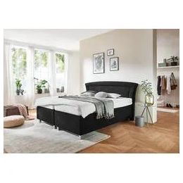 Boxspringbett, schwarz (mikrovelours schwarz), Liegefl&auml;che B/L: 160cm x 200cm, H2, Bonnell-Federkernmatratze, Bezug Unterbox und Kopfteil: Mikrovelours, 100% Polyester;Bezug Obermatratze 100% Polyester, waschbar bis 60C, Westfalia Schlafkomfort, Komplettbetten, Boxspringbett, in diversen Ausf&uuml;hrungen