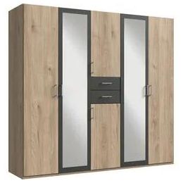 Kleiderschrank wimex "Diver Dreht&uuml;renschrank mit Spiegel, 180, 225 o. 270cm breit", grau (struktureichefb hell, graphit, griffe alu), B:225cm H:207cm T:58cm, Schr&auml;nke, Kleiderschrank, Bestseller Schlafzimmerschrank wahlweise 3 Innenausstattungen, Topseller