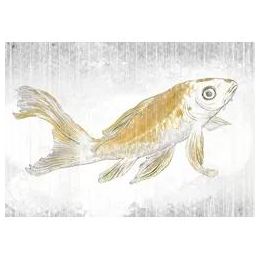 Vliestapete Komar "Digitaldruck Vlies - Golden Koi - Gr&ouml;&szlig;e 400 x 280 cm", grau (gold, grau, wei&szlig;), B:400m L:280m, Vlies, Tapeten, Wohnzimmer, Schlafzimmer