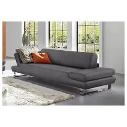3-Sitzer W.Schillig "taboo Designsofa mit hohem Sitzkomfort", grau (grau s22), B:232cm H:76cm T:101cm, Flachgewebe S22 (100% Polyester);Stoff S37 (100% Polyester): Luxus-Microfaser in Lederoptik;Longlife Xtra-Leder Z59: Glattleder mit modischer Pr&auml;gung. Hautst&auml;rke 0, 9 - 1, 1 mm;Longlife Xtra-Leder Z69: Das feinnarbige, gedeckte Softleder Z69 besticht durch seine au&szlig;ergew&ouml;hnliche Weichheit im tren