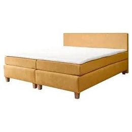 Boxspringbett Alina, gelb (curry tcm 105), B:161cm L:206cm, Struktur fein TCM (100% Polyester), Komplettbetten, Boxspringbett, inklusive Matratze und Topper, in diversen Ausf&uuml;hrungen