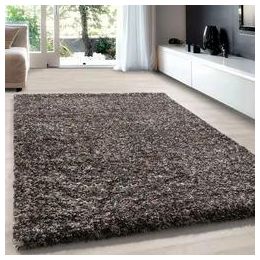 Hochflor-Teppich Ayyildiz TEPPICHE "Enjoy Shaggy" Gr. 3, grau (taupe), B:120cm H:50mm L:170cm, Kunstfaser, Teppiche, auch als L&auml;ufer, Shaggy, Langflor, meliert, Wohnzimmer