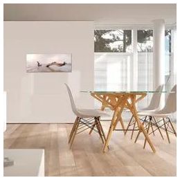 Leinwandbild Art for the home "Treibholz", beige (farbe bild(er): braun), B:100cm H:30cm, Bilder, Leinwandbild, Treibholz 40 x 100 cm