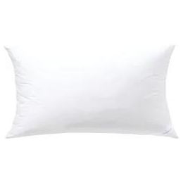 Microfaserkissen Billerbeck "Liliane,, Kissen ist allergikerfreundlich (Hausstauballergiker)", wei&szlig;, B:40cm L:80cm, F&uuml;llung: 100% Polyester, Kopfkissen, Faserkissen mit hydrophil ausger&uuml;stetem Baumwollbezug