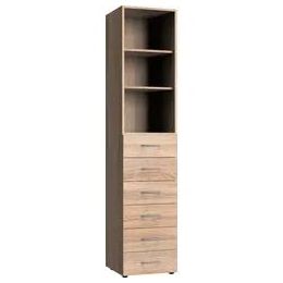 Standregal wimex "Multiraumkonzept", braun (eiche s&auml;gerau, nachbildung), B:40cm H:185cm T:40cm, Holzwerkstoff, Regale, Standregal, planbar und erweiterbar