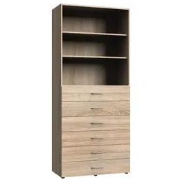 Standregal wimex "Multiraumkonzept", braun (eiche s&auml;gerau, nachbildung), B:80cm H:185cm T:40cm, Holzwerkstoff, Regale, Standregal, planbar und erweiterbar