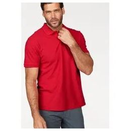 Poloshirt Fruit of the Loom, Herren, Gr. L (52/54), rot, Piqu&eacute;, Obermaterial: 100% Baumwolle, schmal h&uuml;ftbedeckend, Rundhals, Shirts, Piqu&eacute;, unifarben