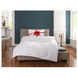 Microfaserbettdecke OTTO HOME "Corella, Bettdecke 135x200 cm, mit Gratis-Kissen dazu: 40x80 cm", wei&szlig;, B:135cm L:200cm, Obermaterial: 100% Polyester. F&uuml;llung: 100% Polyester, Bettdecken, Microfaserbettdecke, Bettdecken, Sommer, Winter, 4 Jahreszeiten, Decke mit Gratiskissen