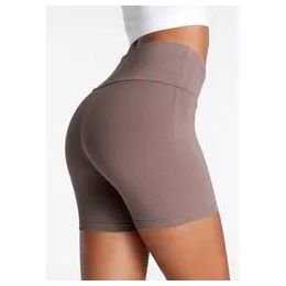 Shorts Lascana, Damen, Gr. 36/38, N-Gr, grau (taupe), Single Jersey, Obermaterial: 95% Baumwolle, 5% Elasthan, unifarben, Basic, kurz, Hosen Shorts, mit breitem B&uuml;ndchen und Logodruck, Loungewear