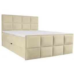 Boxspringbett Home Affaire "Timeo", beige (cream), B:161cm L:210cm, Komplettbetten, Boxspringbett, in den Breiten 120,140,160 & 180 cm erh&auml;ltlich