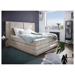 Boxspringbett Collection AB "Copenhagen", grau (silbergrau), B:231cm L:215cm, Holzwerkstoff, Spanplatte, Komplettbetten, Boxspringbett, inklusive Bettkasten, Topper, wahlweise mit LED-Beleuchtung