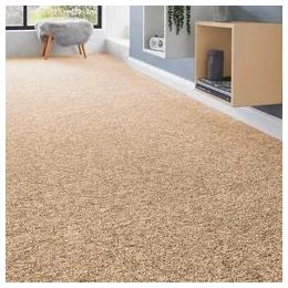 Teppichboden ANDIAMO "Matz, Schlinge, Gesamth&ouml;he 6 mm, Luxusklasse LC1", beige (sand), B:400cm L:300cm, Kunstfaser, Teppiche, meliert, Breite 400 cm oder 500 cm, strapazierf&auml;hig & pflegeleicht