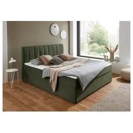 Boxbett "Alva, wahlweise mit Matratze", gr&uuml;n, B:140cm L:211cm, ATLANTIC HOME COLLECTION, Komplettbetten, wahlweise mit Matratze und Topper