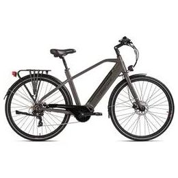 E-Bike HOLLANDIA "Mantova" Gr. 52, grau (grau, grau), Elektrofahrr&auml;der, 52cm, 28 Zoll (71,12cm), Pedelec, Elektrofahrrad f&uuml;r Damen u. Herren