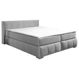 Boxspringbett Home Affaire "Chelles", silber, B:187cm L:245cm, Samtoptik (100% Polyester);Bezug der Spiegelfl&auml;che Matratzendrell aus 100% Polyester;Struktur fein 100% Polyester), Komplettbetten, Boxspringbett, inkl. Topper,, in XXL- &Uuml;berl&auml;nge 220 cm, Unterbox mit feine W&ouml;lbung