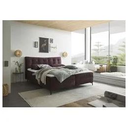 Boxbett ED EXCITING DESIGN "Melrose", lila (aubergine), B:182cm L:210cm, 100% Polyester, Komplettbetten, Boxspringbett, inkl. Topper