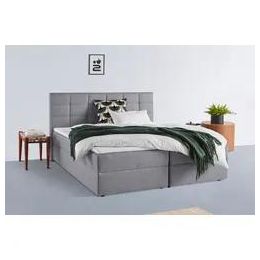 Boxbett Home Affaire "Ovalo auch in &Uuml;berl&auml;nge erh&auml;ltlich", grau, B:194cm L:210cm, Komplettbetten, Boxspringbett, wahlweise mit Bettkasten, in H2, H3 & H4 erh&auml;ltlich, Topseller