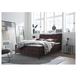 Boxbett ED EXCITING DESIGN "Melrose", lila (aubergine), B:182cm L:210cm, 100% Polyester, Komplettbetten, Boxspringbett, inkl. Topper