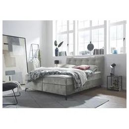 Boxbett ED EXCITING DESIGN "Melrose", grau, B:182cm L:210cm, 100% Polyester, Komplettbetten, Boxspringbett, inkl. Topper
