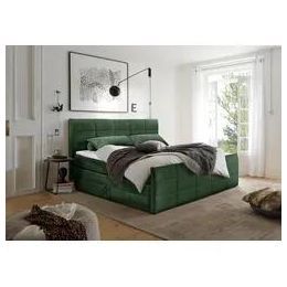 Boxspringbett ED EXCITING DESIGN "Bolivia", gr&uuml;n (oliv), B:183cm L:220cm, 92% Polyester, 8% Nylon, Komplettbetten, Boxspringbett, harte Seite mit Kokosmatte, weiche Seite mit Filzabdeckung