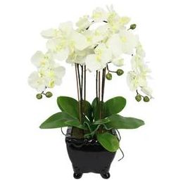 Kunstblume I.GE.A. "K&uuml;nstliche Orchidee in Schale Phalaenopsis Kunstblume Blume", wei&szlig;, B:20cm H:60cm L:18cm, Polyester, Kunstpflanzen, Kunstorchidee Deko Dekoblume Seidenblume