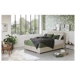Boxbett COTTA "Tom mit Bettkasten, Topper und Zierkissen", beige, B:145cm L:209cm, Komplettbetten, Bett Betten mit Bettkasten, Bestseller, Unser Dauertiefpreis, Topseller