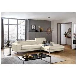 Ecksofa W.Schillig "piedroo, Designsofa mit tollem Sitzkomfort, bequem und elegant, L-Form", grau (eisgrau z59), B:303cm H:70cm T:193cm, Longlife Xtra-Leder Z59: Glattleder mit modischer Pr&auml;gung. Hautst&auml;rke 0, 9 - 1, 1 mm, Sofas, Ecksofa, Kopfteilverstellung, wahlweise mit Sitztiefenverstellung, Breite 303cm, Topseller