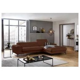 Ecksofa W.Schillig "piedroo, Designsofa mit tollem Sitzkomfort, L-Form", braun (tabacco z69), B:303cm H:70cm T:193cm, Longlife Xtra-Leder Z69: Das feinnarbige, gedeckte Softleder Z69 besticht durch seine au&szlig;ergew&ouml;hnliche Weichheit im trendigen &raquo;Vintage-Look&laquo;, Hautst&auml;rke 0, 9 - 1, 1 mm, Sofas, Ecksofa, Kopfteilverstellung, wahlweise mit Sitztiefenverstellung, Breite 303cm