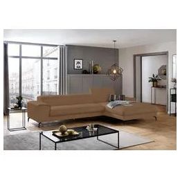 Ecksofa W.Schillig "piedroo, Designsofa mit tollem Sitzkomfort, bequem, L-Form", braun (fango z69), B:343cm H:70cm T:193cm, Longlife Xtra-Leder Z69: Das feinnarbige, gedeckte Softleder Z69 besticht durch seine au&szlig;ergew&ouml;hnliche Weichheit im trendigen &raquo;Vintage-Look&laquo;, Hautst&auml;rke 0, 9 - 1, 1 mm, Sofas, Ecksofa, Kopfteilverstellung, wahlweise mit Sitztiefenverstellung, Breite 343cm