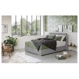 Boxbett COTTA "Tom mit Bettkasten, Topper und Zierkissen", grau (light grau), B:125cm L:209cm, Komplettbetten, Bett Betten mit Bettkasten, Bestseller, Unser Dauertiefpreis, Topseller