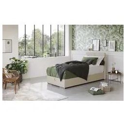 Boxbett COTTA "Tom mit Bettkasten, Topper und Zierkissen", beige, B:95cm L:209cm, Komplettbetten, Bett Betten mit Bettkasten, Bestseller, Unser Dauertiefpreis, Topseller