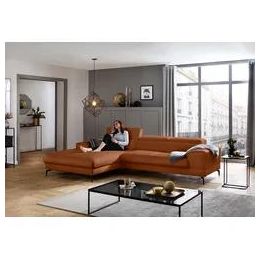 Ecksofa W.Schillig "piedroo, Designsofa mit tollem Sitzkomfort, L-Form", braun (cognac z69), B:303cm H:70cm T:193cm, Longlife Xtra-Leder Z69: Das feinnarbige, gedeckte Softleder Z69 besticht durch seine au&szlig;ergew&ouml;hnliche Weichheit im trendigen &raquo;Vintage-Look&laquo;, Hautst&auml;rke 0, 9 - 1, 1 mm, Sofas, Ecksofa, Kopfteilverstellung, wahlweise mit Sitztiefenverstellung, Breite 303cm
