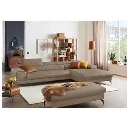 Ecksofa W.Schillig "piedroo, Designsofa mit tollem Sitzkomfort, bequem und elegant, L-Form", braun (stone z59), B:343cm H:70cm T:193cm, Longlife Xtra-Leder Z59: Glattleder mit modischer Pr&auml;gung. Hautst&auml;rke 0, 9 - 1, 1 mm, Sofas, Ecksofa, Kopfteilverstellung, wahlweise mit Sitztiefenverstellung, Breite 343cm