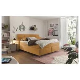 Boxspringbett "Fairfield", gelb (senfgelb), B:204cm L:218cm, 92% Polyester, 8% Nylon, SET ONE BY Musterring, Komplettbetten, Boxspringbett, mit Metallfu&szlig; schwarz, Wendematratze, Breite 160 oder 180 cm