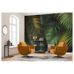 Fototapete Komar "Digitaldruck Vlies - Amazon Fern - Gr&ouml;&szlig;e 400 x 250 cm", gr&uuml;n, Rollen: 1, Vlies, Tapeten, Wohnzimmer, Schlafzimmer