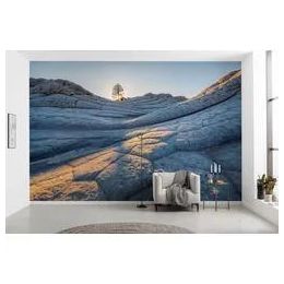 Fototapete Komar "Digitaldruck Vlies - Elephant Skin - Gr&ouml;&szlig;e 400 x 250 cm", grau, Rollen: 1, Vlies, Tapeten, Wohnzimmer, Schlafzimmer