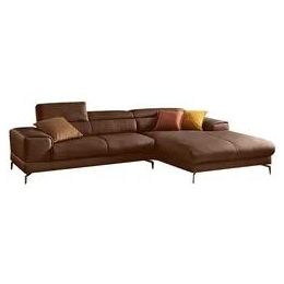 Ecksofa W.Schillig "Piedroo, Designsofa mit tollem Sitzkomfort, elegant und bequem, L-Form", braun (tabacco z69), B:303cm H:70cm T:193cm, Longlife Xtra-Leder Z69: Das feinnarbige, gedeckte Softleder Z69 besticht durch seine au&szlig;ergew&ouml;hnliche Weichheit im trendigen &raquo;Vintage-Look&laquo;, Hautst&auml;rke 0, 9 - 1, 1 mm, Sofas, Ecksofa, Kopfteilverstellung, wahlweise mit Sitztiefenverstellung, Breite 303cm