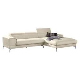 Ecksofa W.Schillig "piedroo, Designsofa mit tollem Sitzkomfort, bequem und elegant, L-Form", grau (eisgrau z59), B:303cm H:70cm T:193cm, Longlife Xtra-Leder Z59: Glattleder mit modischer Pr&auml;gung. Hautst&auml;rke 0, 9 - 1, 1 mm, Sofas, Ecksofa, Kopfteilverstellung, wahlweise mit Sitztiefenverstellung, Breite 303cm