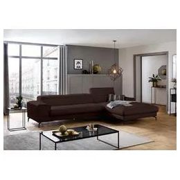 Ecksofa W.Schillig "piedroo, Designsofa mit tollem Sitzkomfort, bequem, L-Form", braun (mocca z69), B:343cm H:70cm T:193cm, Longlife Xtra-Leder Z69: Das feinnarbige, gedeckte Softleder Z69 besticht durch seine au&szlig;ergew&ouml;hnliche Weichheit im trendigen &raquo;Vintage-Look&laquo;, Hautst&auml;rke 0, 9 - 1, 1 mm, Sofas, Ecksofa, Kopfteilverstellung, wahlweise mit Sitztiefenverstellung, Breite 343cm