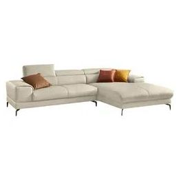 Ecksofa W.Schillig "Piedroo, Designsofa mit tollem Sitzkomfort, elegant und bequem, L-Form", grau (eisgrau z59), B:303cm H:70cm T:193cm, Longlife Xtra-Leder Z59: Glattleder mit modischer Pr&auml;gung. Hautst&auml;rke 0, 9 - 1, 1 mm, Sofas, Ecksofa, Kopfteilverstellung, wahlweise mit Sitztiefenverstellung, Breite 303cm