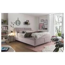 Boxspringbett "Fairfield", rosa, B:166cm L:242cm, 92% Polyester, 8% Nylon, SET ONE BY Musterring, Komplettbetten, Boxspringbett, Kopfteil in Kassenoptik, Metallfu&szlig; schwarz, Breite 160 oder 180 cm